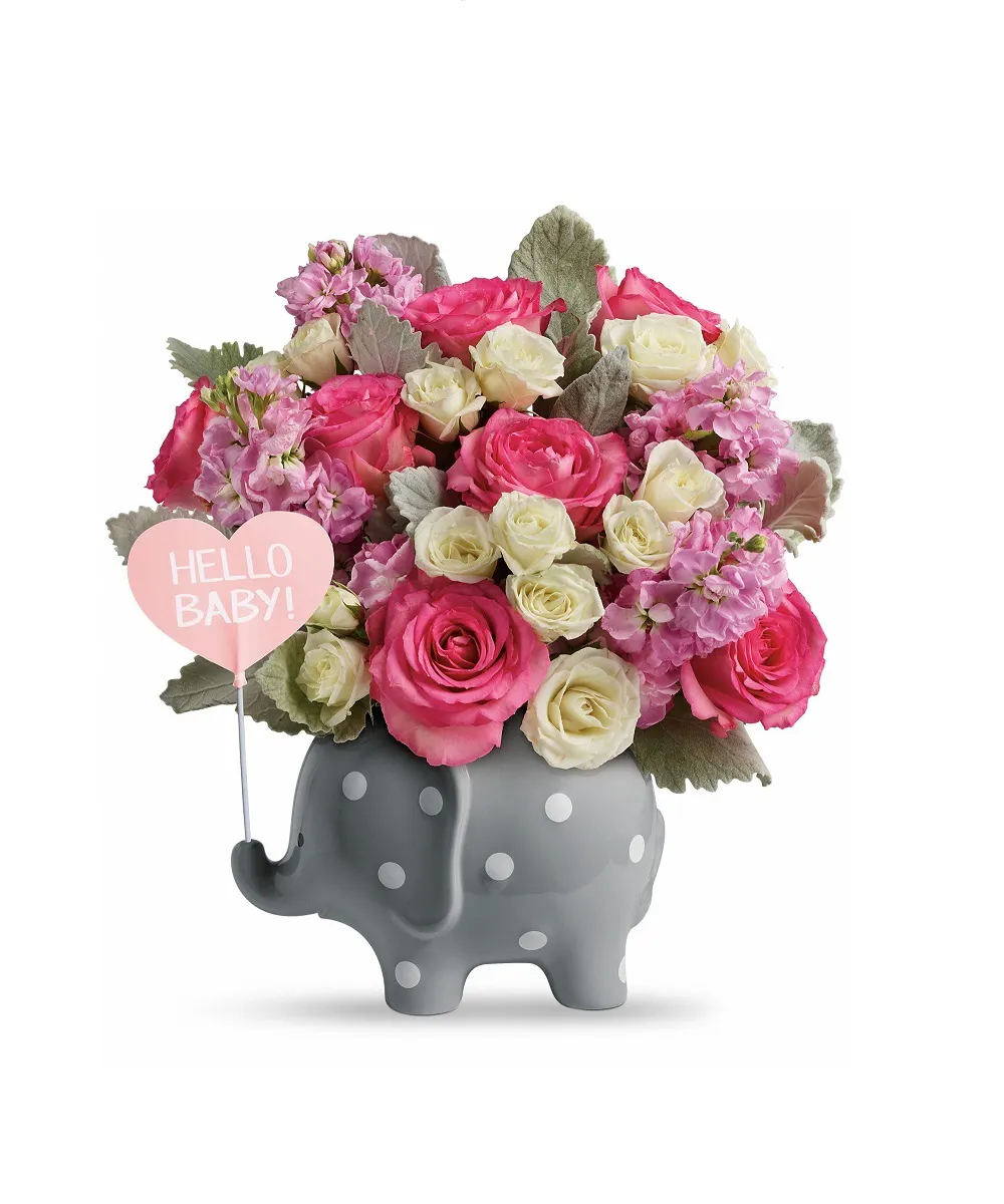 Hello Sweet Baby - Girl | Phoenix (AZ) New Baby Flowers & Gifts ...